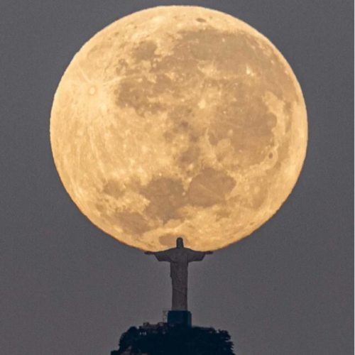 Tony Arizona on GETTR - Profile and Posts on GETTR