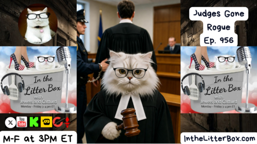 Jewels Jones Live on GETTR: Judges Gone Rogue | In the Litter Box w ...