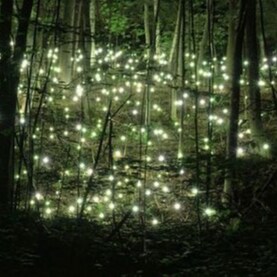 Lin Manuel Miranda's wife