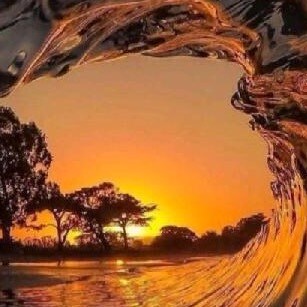 Fred on GETTR - Profile and Posts on GETTR