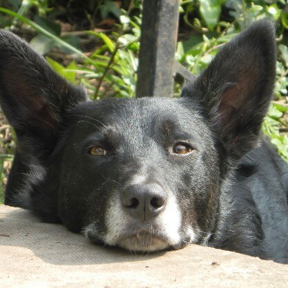 FreeBird Designs UK on GETTR