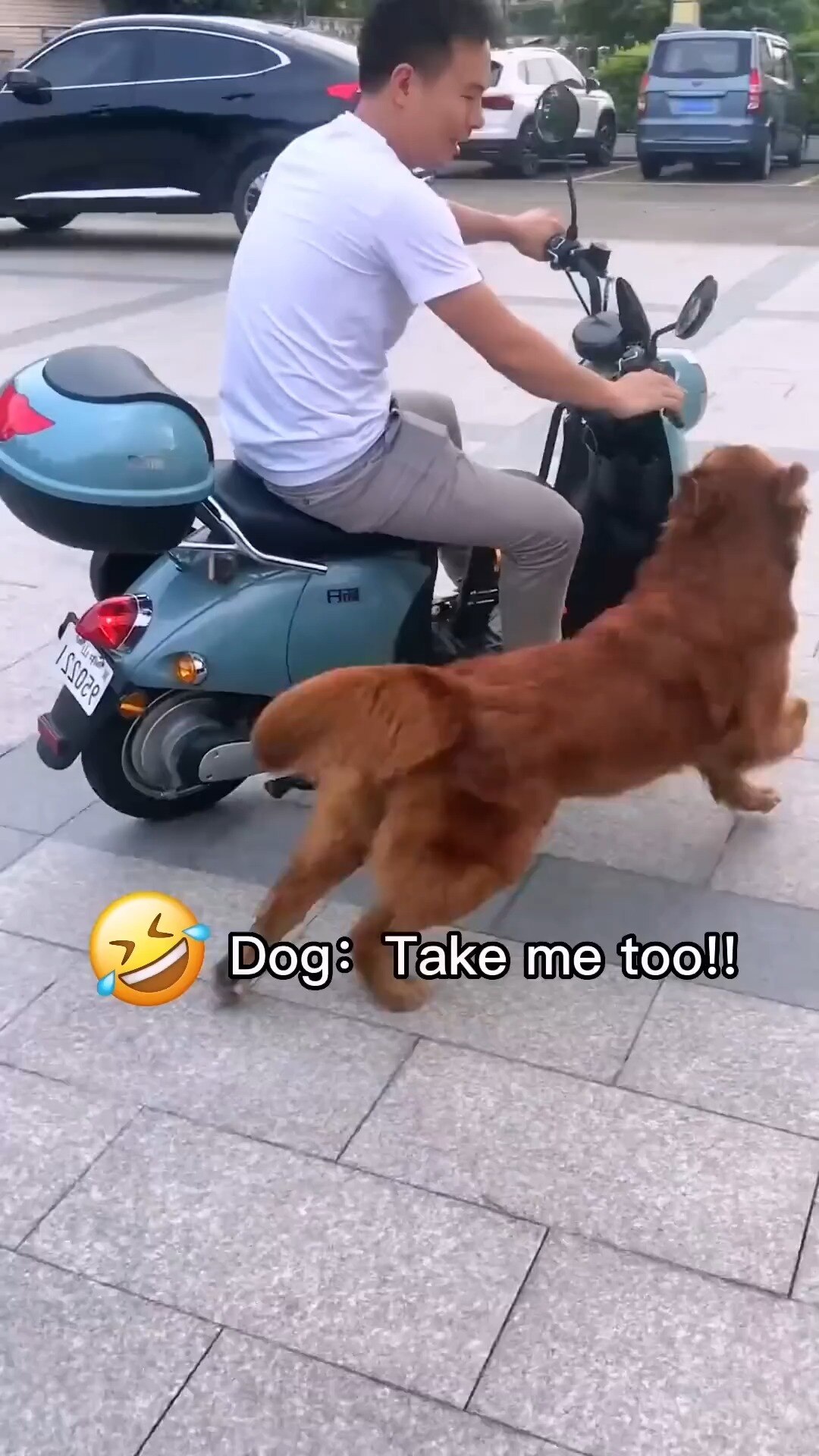 Pets Planet on GETTR : He: take me too!! 😂😂 #funnydog