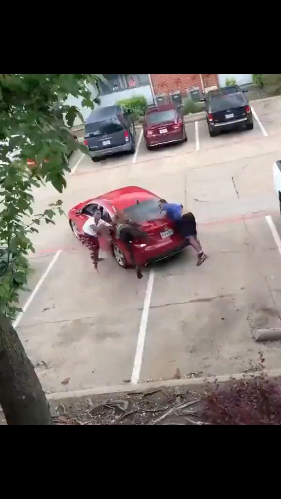 Piaoxue199 on GETTR : The counterattack was too ruthless! 🥶🥶