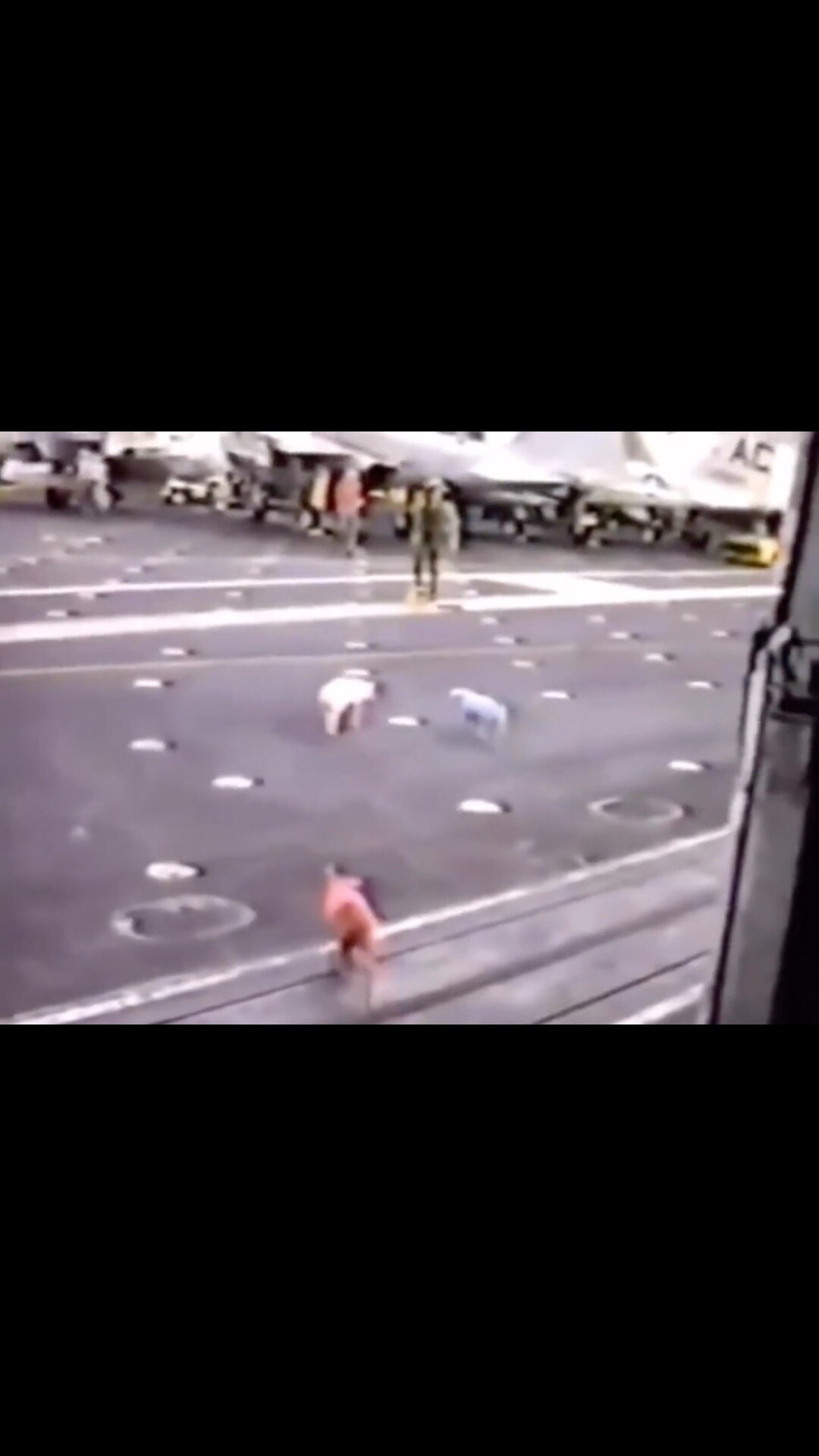 Handong💥 on GETTR: Pigs run wild on an aircraft carrier! It's outrage...