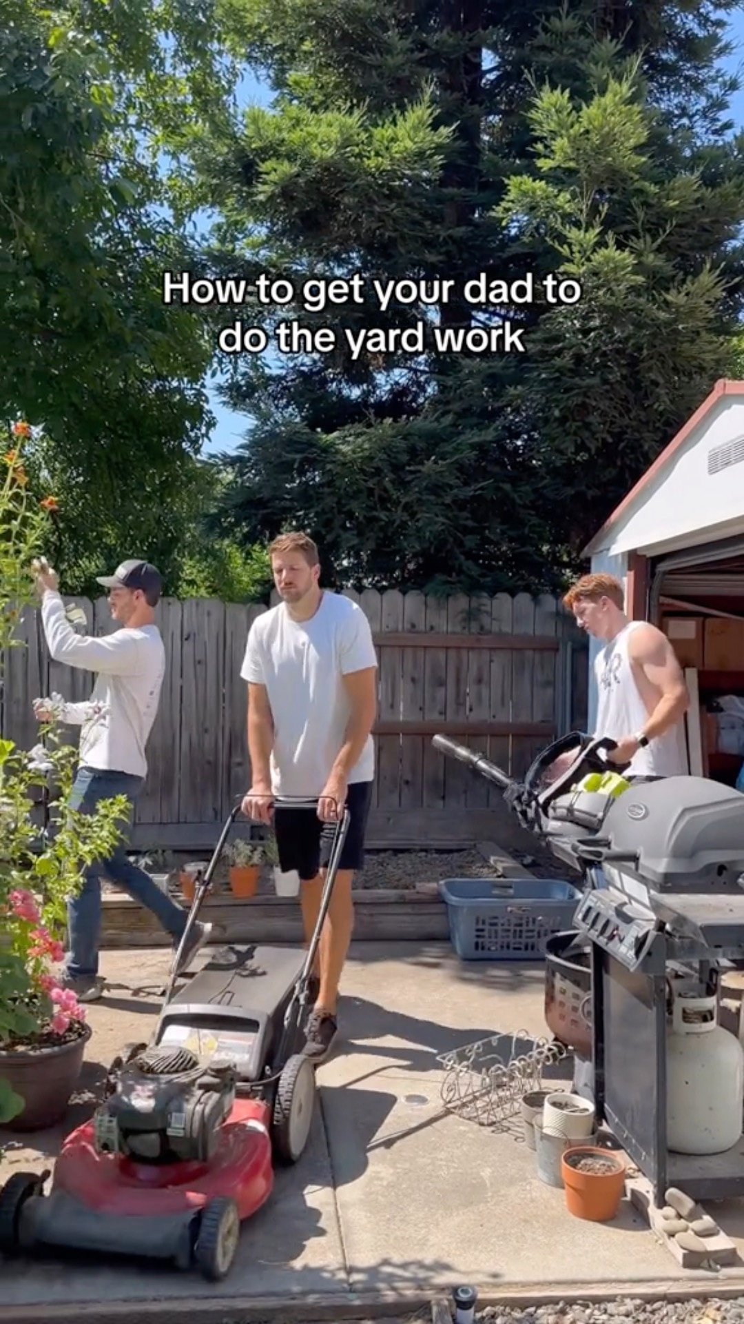 Luminous on GETTR : How to get your dad to do the vard work