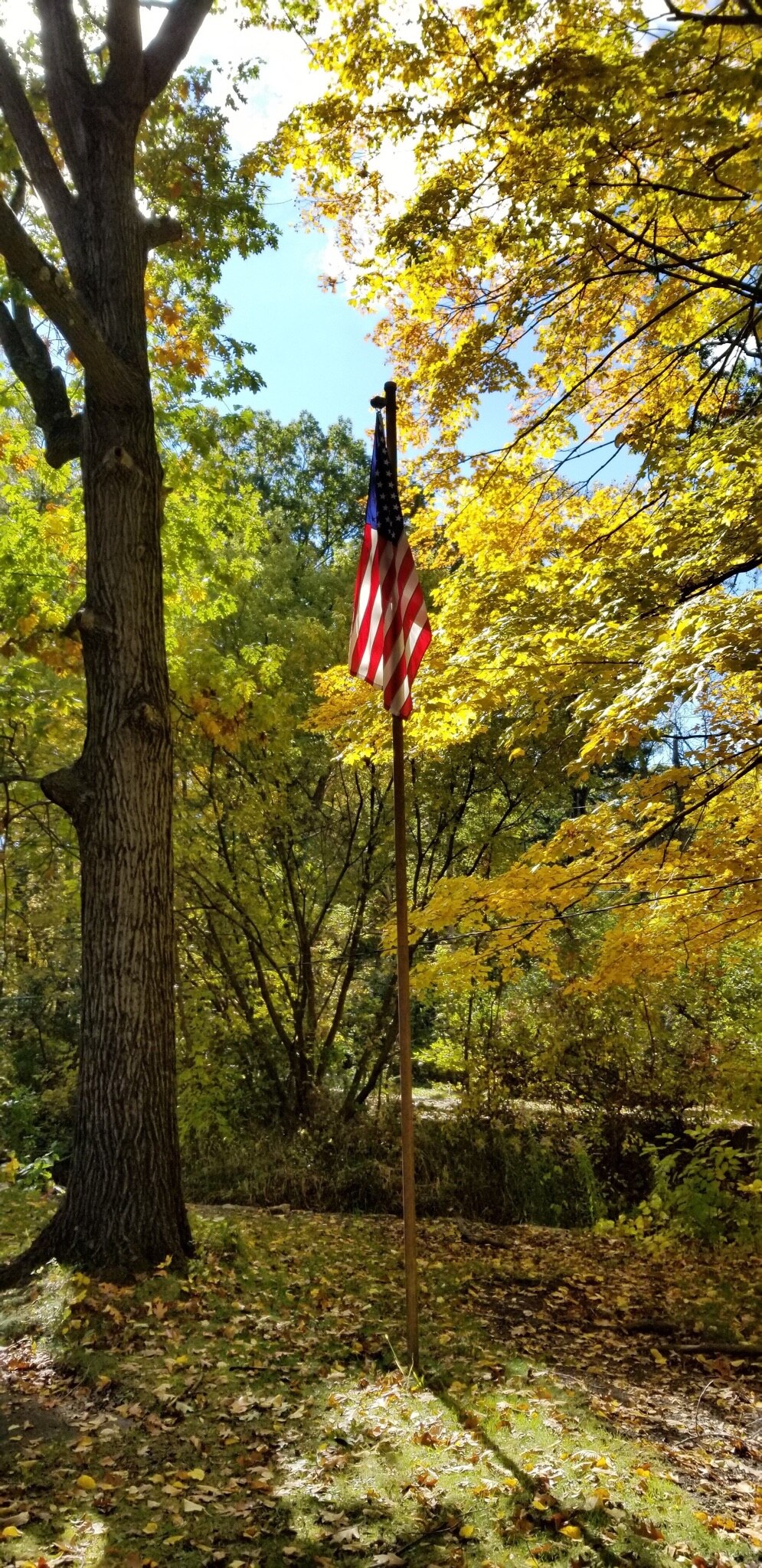 Danilo Tartabull Mora (Tara Bull) on GETTR