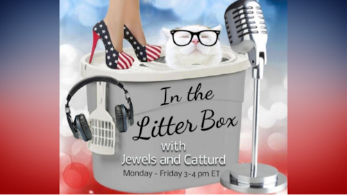 Jewels Jones ® on GETTR : Department Of Injustice | In the Litter Box w ...