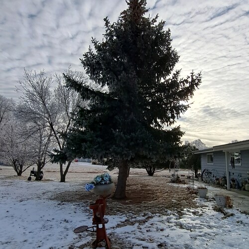 cfees on GETTR - Profile and Posts on GETTR