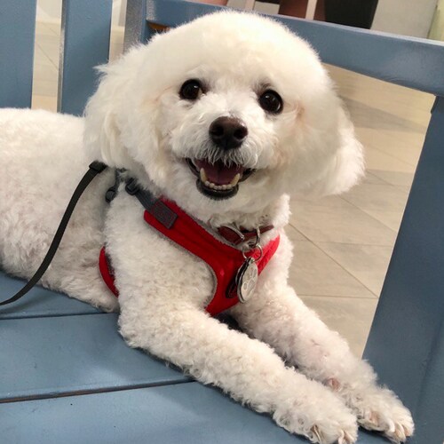 Libertylucy2018 On Gettr Profile And Posts On Gettr