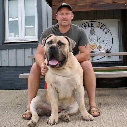 William_paul on GETTR - Profile and Posts on GETTR