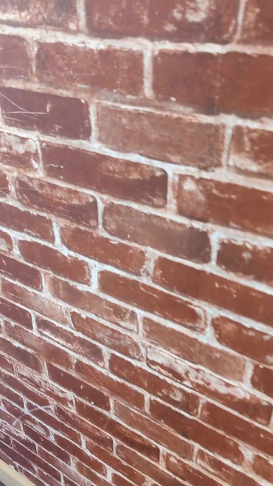 喜花园777 on GETTR