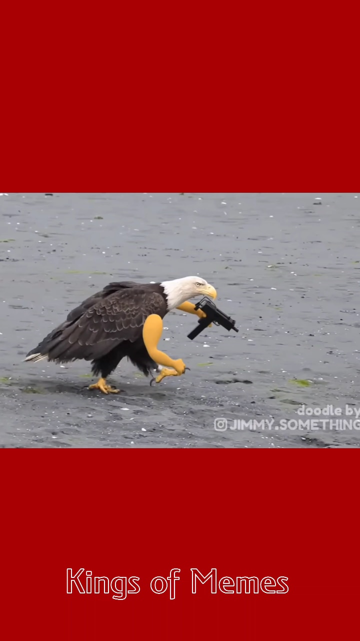 ҜIИGS ФF MΞMΞS 🇺🇸 🇺🇸 🇺🇸 on GETTR: Greatest Memes "America, FK YEAH!" BY ...