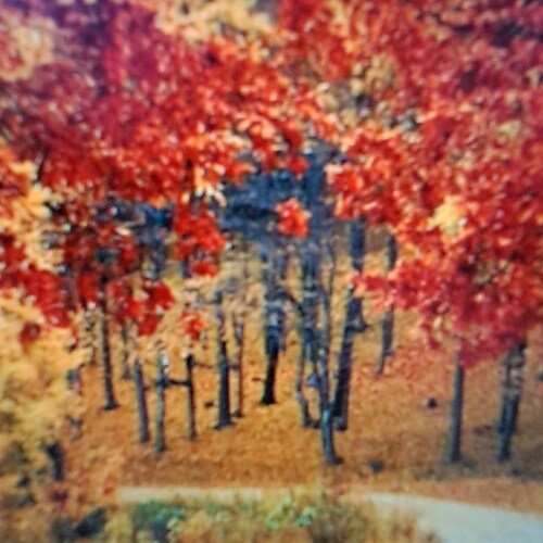 🍊william🍊 on GETTR - Profile and Posts on GETTR