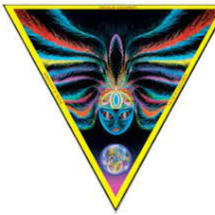 Levashov Method Healing on GETTR