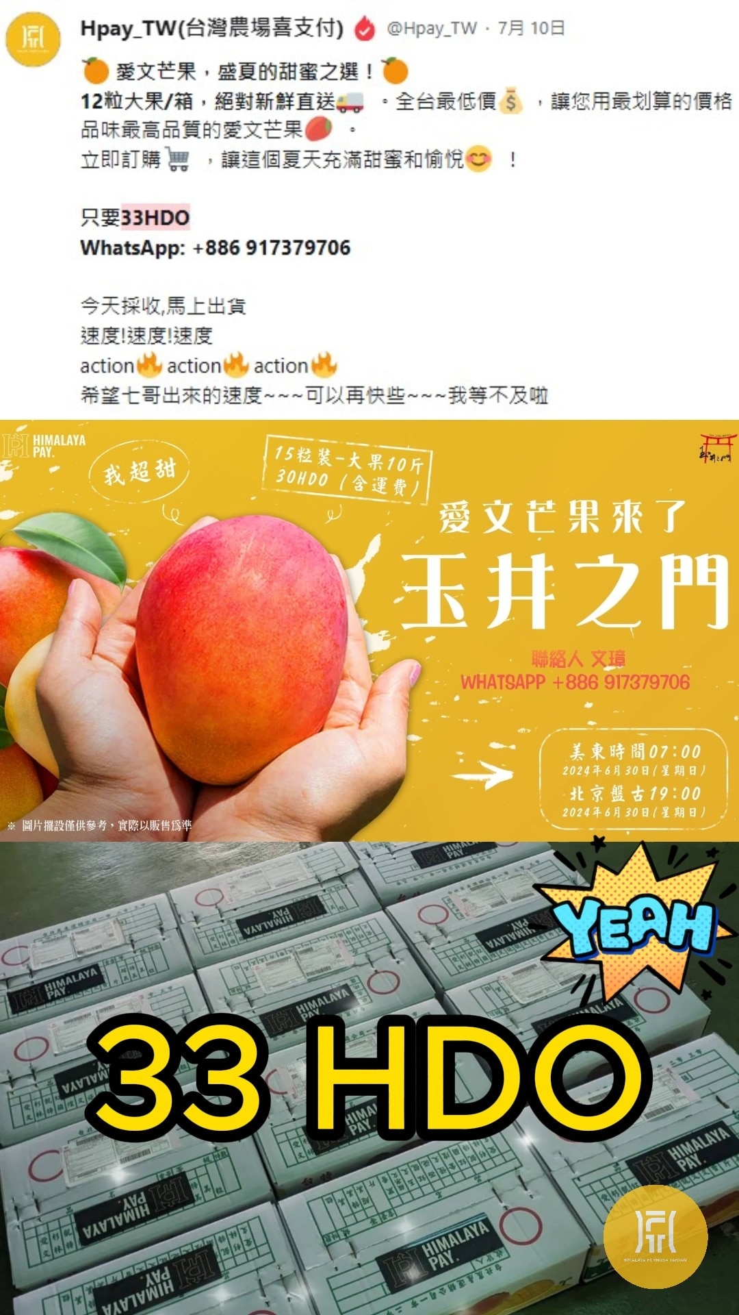 Hpay_TW(台灣農場喜支付) on GETTR : [台灣HPAY] 玉井愛文芒果 只要33HDO WhatsApp: +886 917379706 #台灣HPAY #玉井芒果 ...