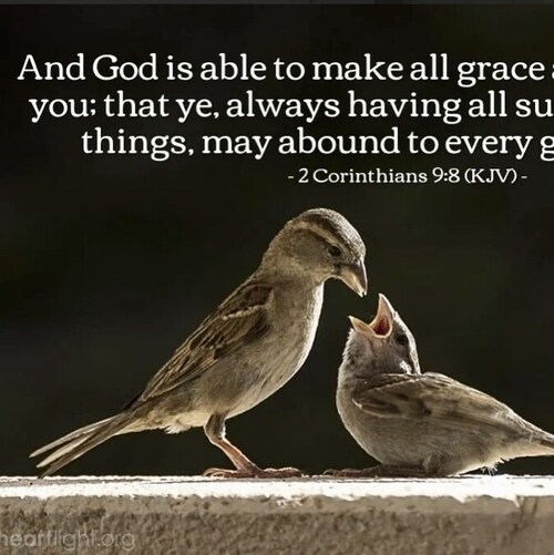 Barbara_5191🍊🍊 on GETTR - Profile and Posts on GETTR