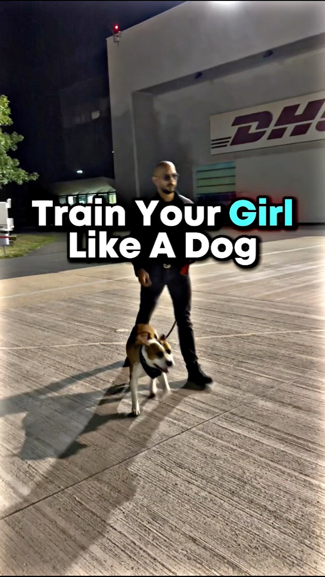 Terrific Scream on GETTR: Tate explains from jail how to train a girl ...