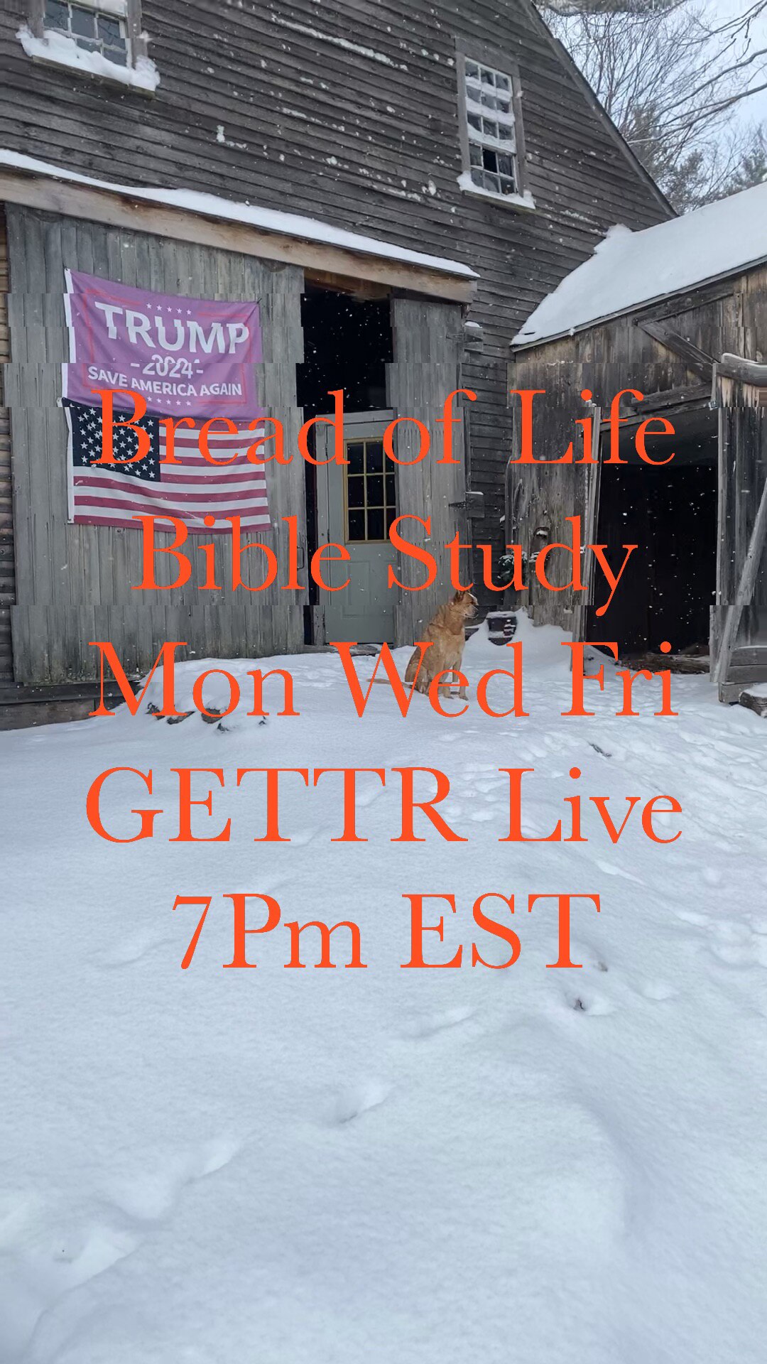 Bread Of Life Fellowship on GETTR: Bread of Life Fellowship On GETTR ...