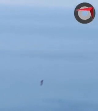 UFO on GETTR : A humanoid-like UFO appeared flying over Los Angeles at ...