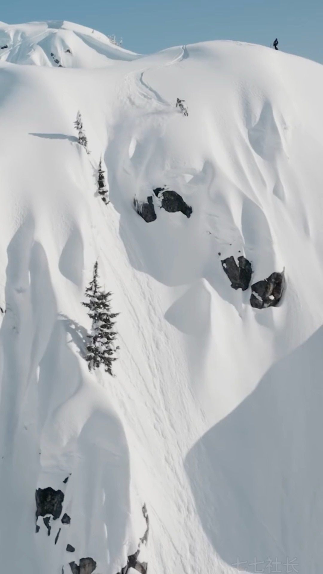 Nefertari on GETTR : ski V