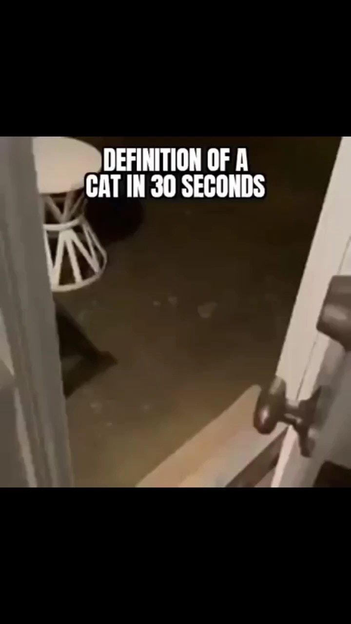 ☦️🦁⚔ 🆃🆁🅴🅱 ⚔🩸 on GETTR: Definition of a Cat In 30 Seconds ...