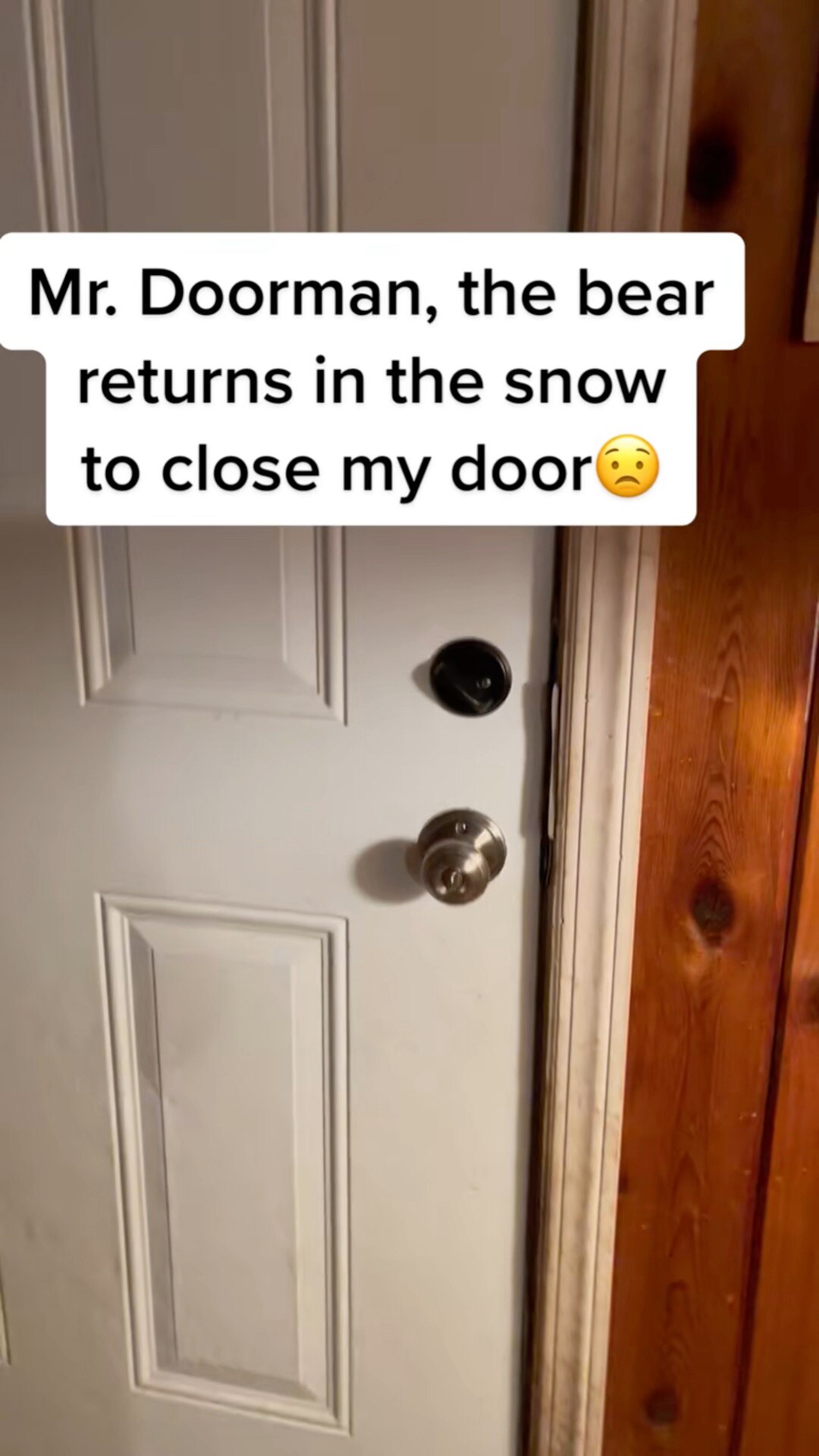 JustShortVideos on GETTR : 🐻Wild bear closes the front door