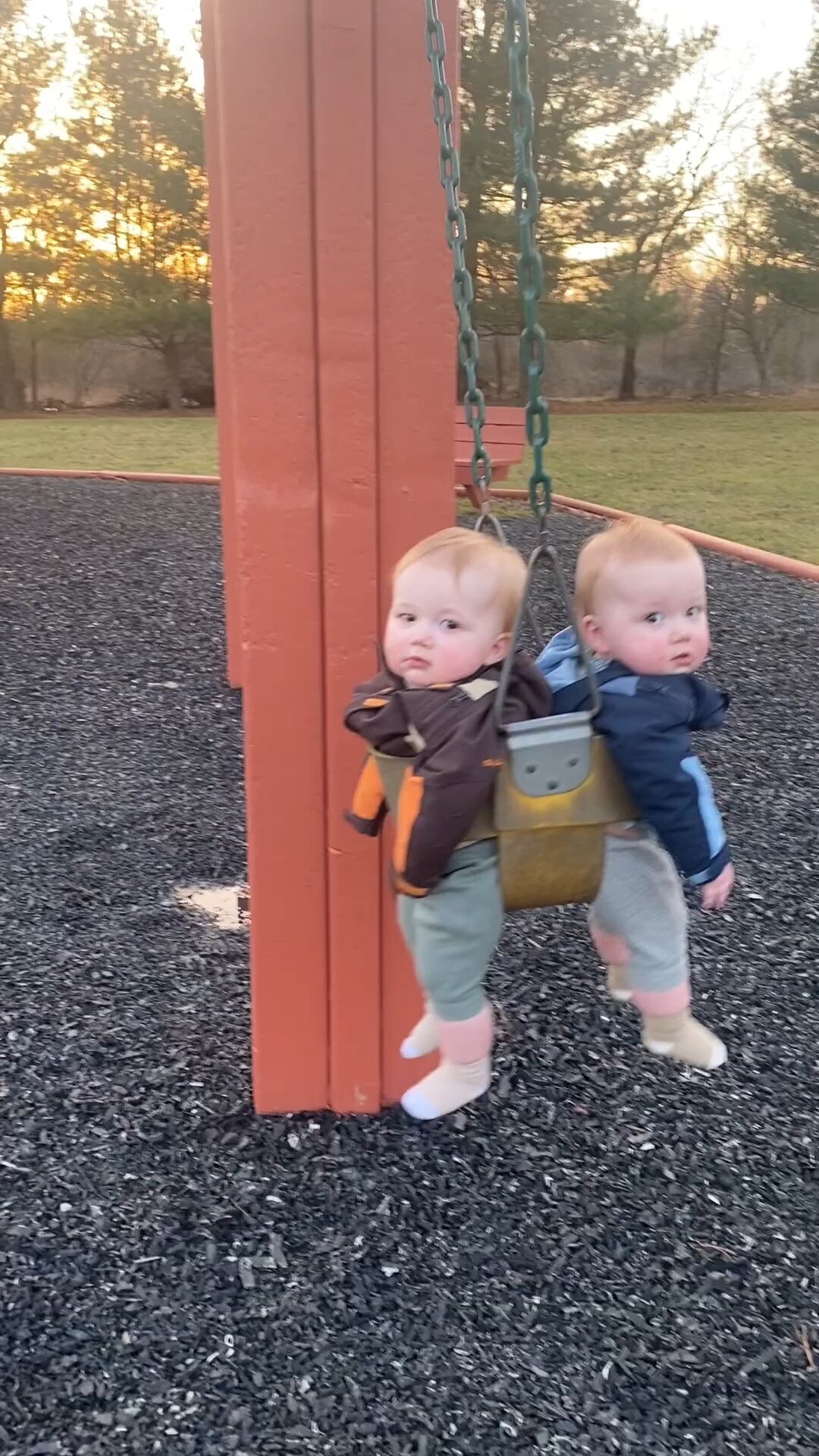 Pets Planet on GETTR: Twin Brothers Swing Together