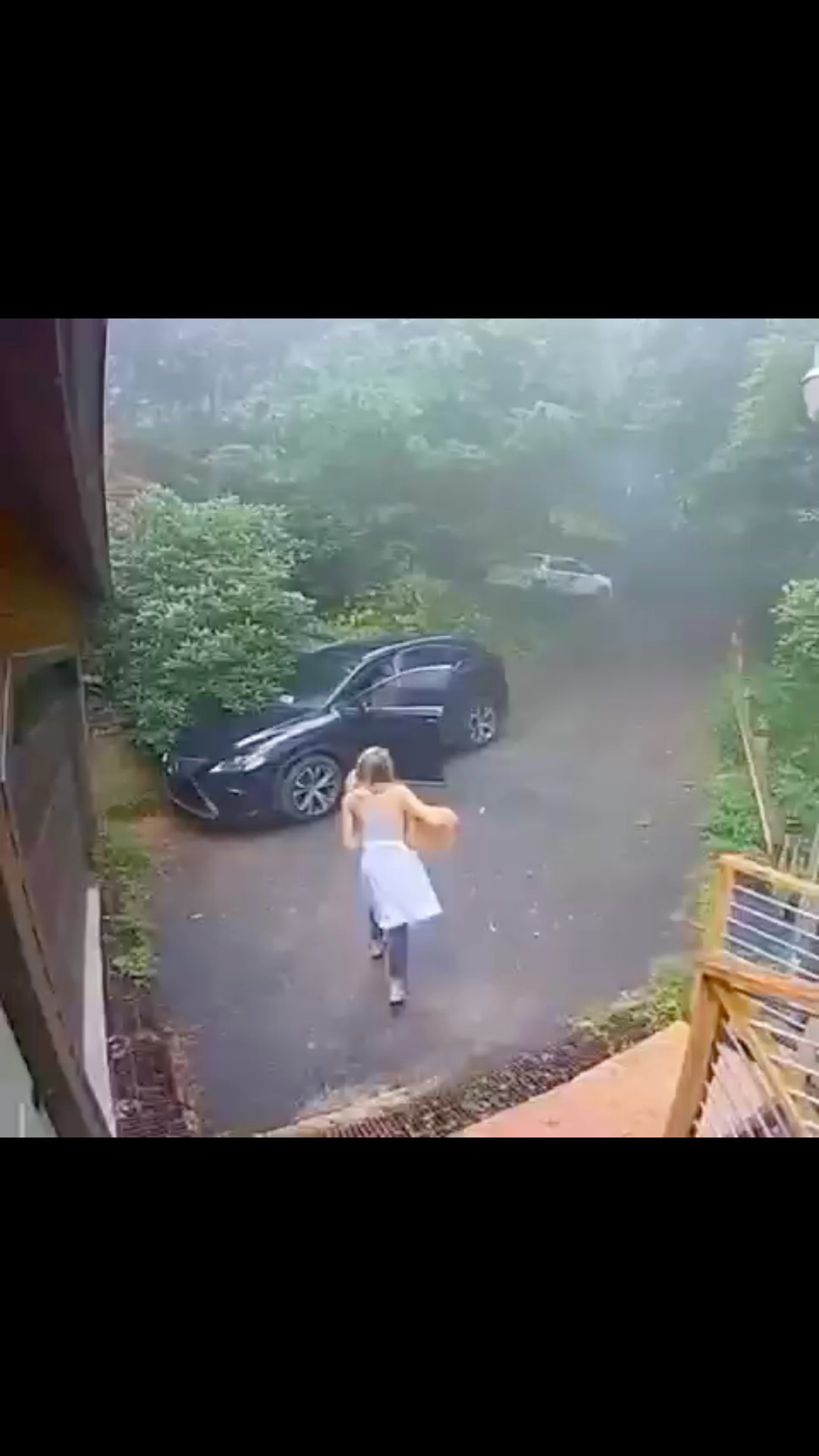 云知道 on GETTR: Bear wants to drive.