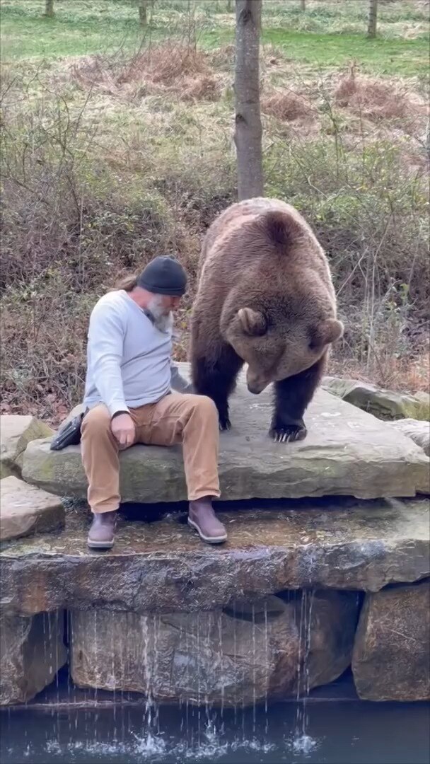 Pets Planet on GETTR : Bear Man Talking To Adult Brown Male Bear and ...