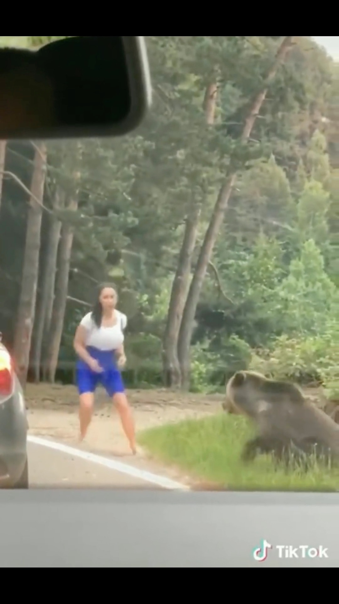 Haoguo on GETTR : Taking a picture with a bear