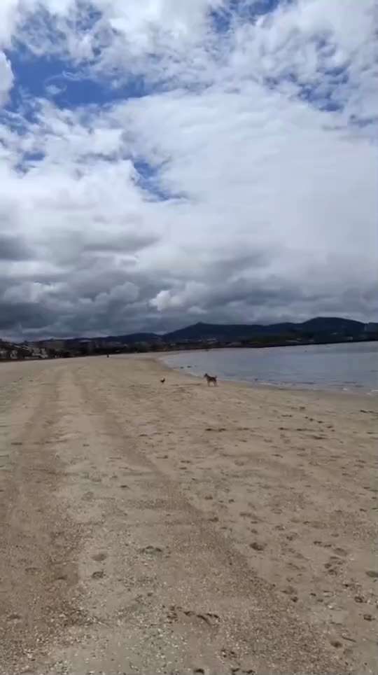 Jude Bonner Nord on GETTR