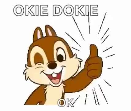 Belina scott GETTR पर: Okay dokie # #Meme #photography # #photography