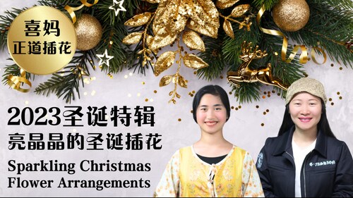 Xima博士喜妈新观察🌻🌻 on GETTR : 2023年12月25日：2023圣诞特辑-亮晶晶的圣诞插花 Sparkling ...