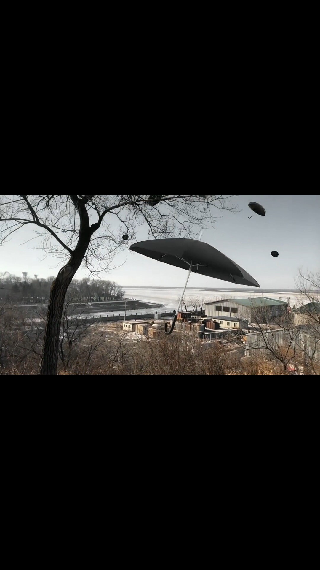 Amelia on GETTR: caprice