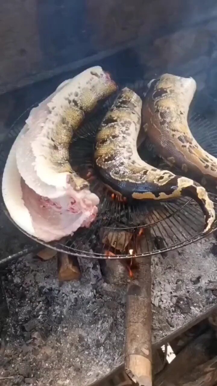 Paranormal on GETTR : Snake barbecue😱