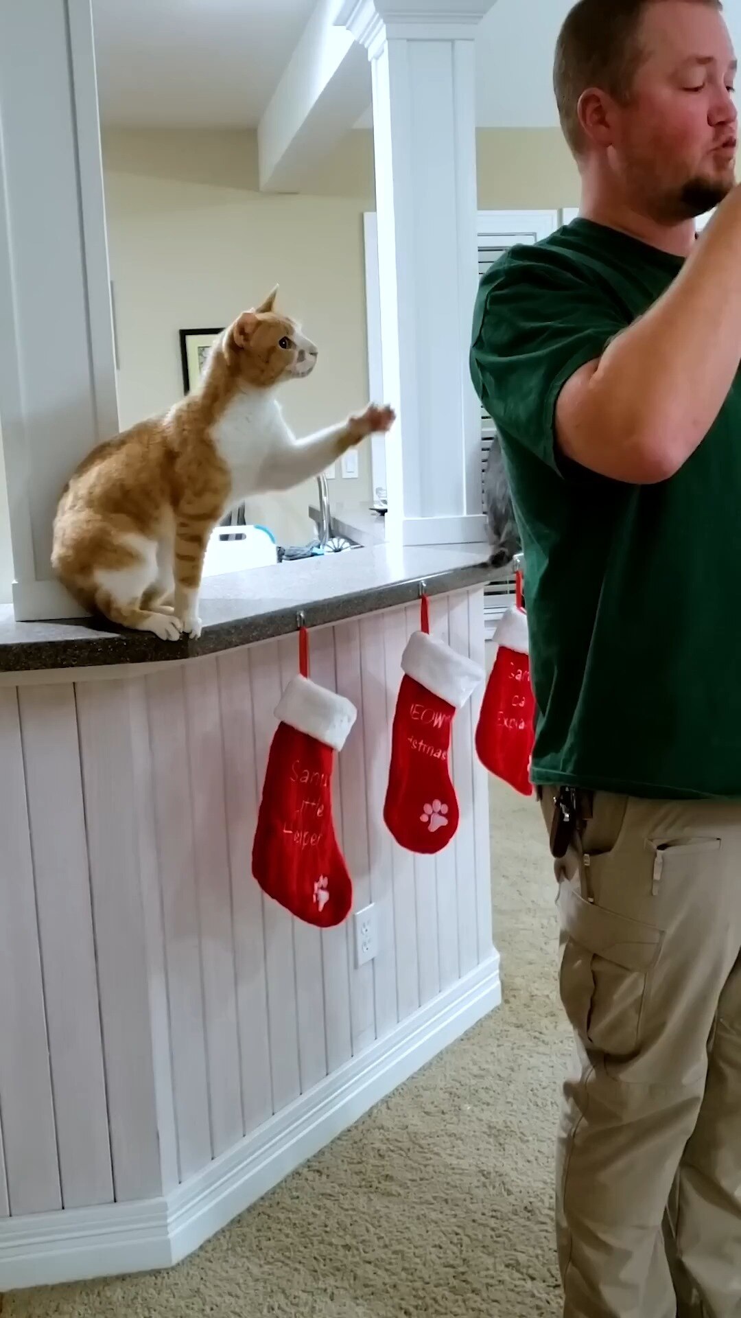 Pets Planet on GETTR : When We're Hangry...