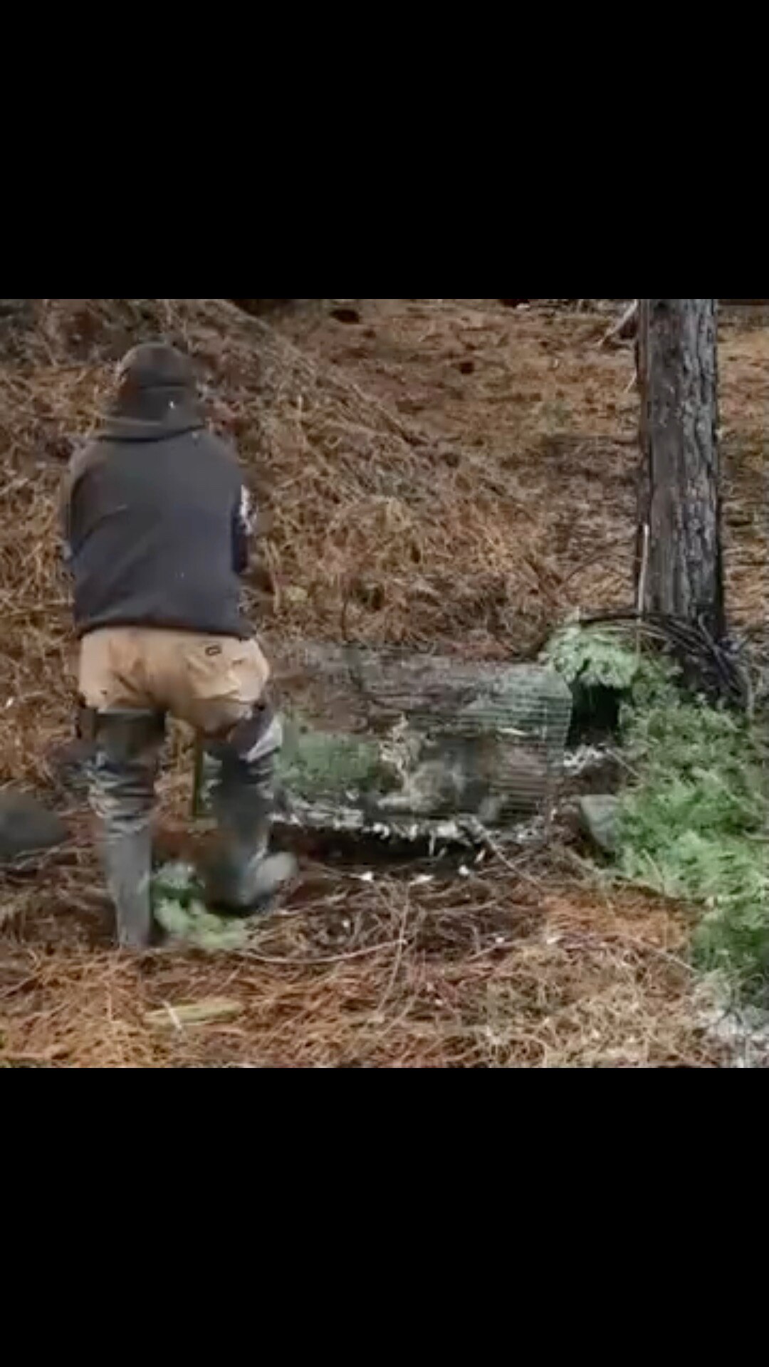 Binbin9937 on GETTR : 🌹