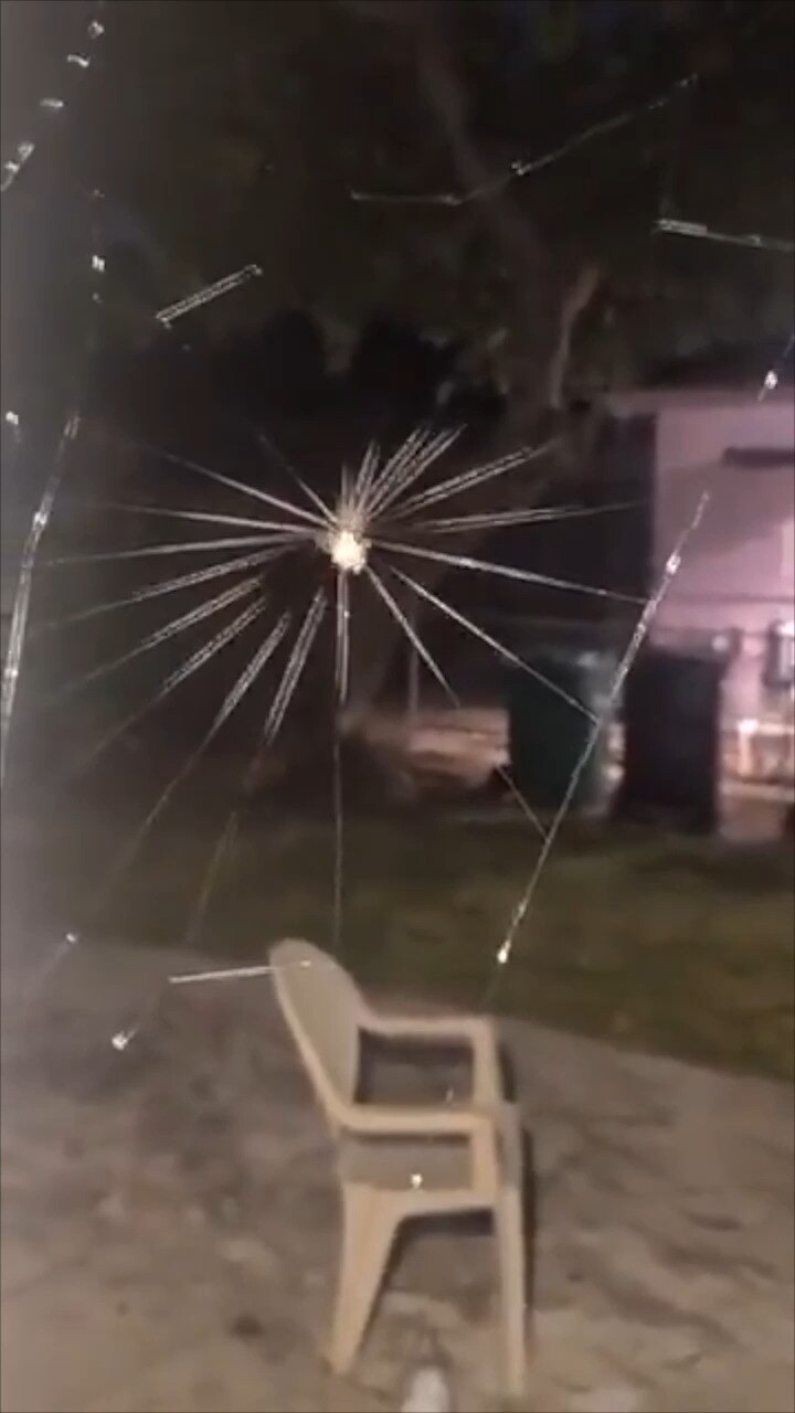 Paranormal on GETTR : I usually hate spiders, but this little guy has ...