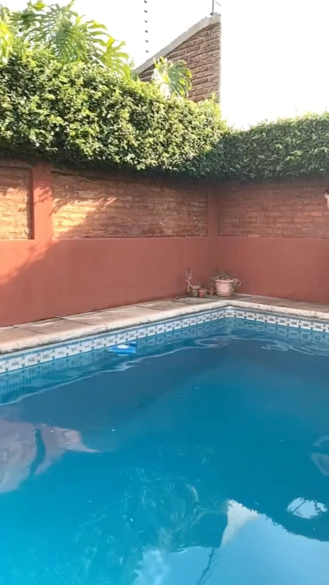 喜花园777 on GETTR