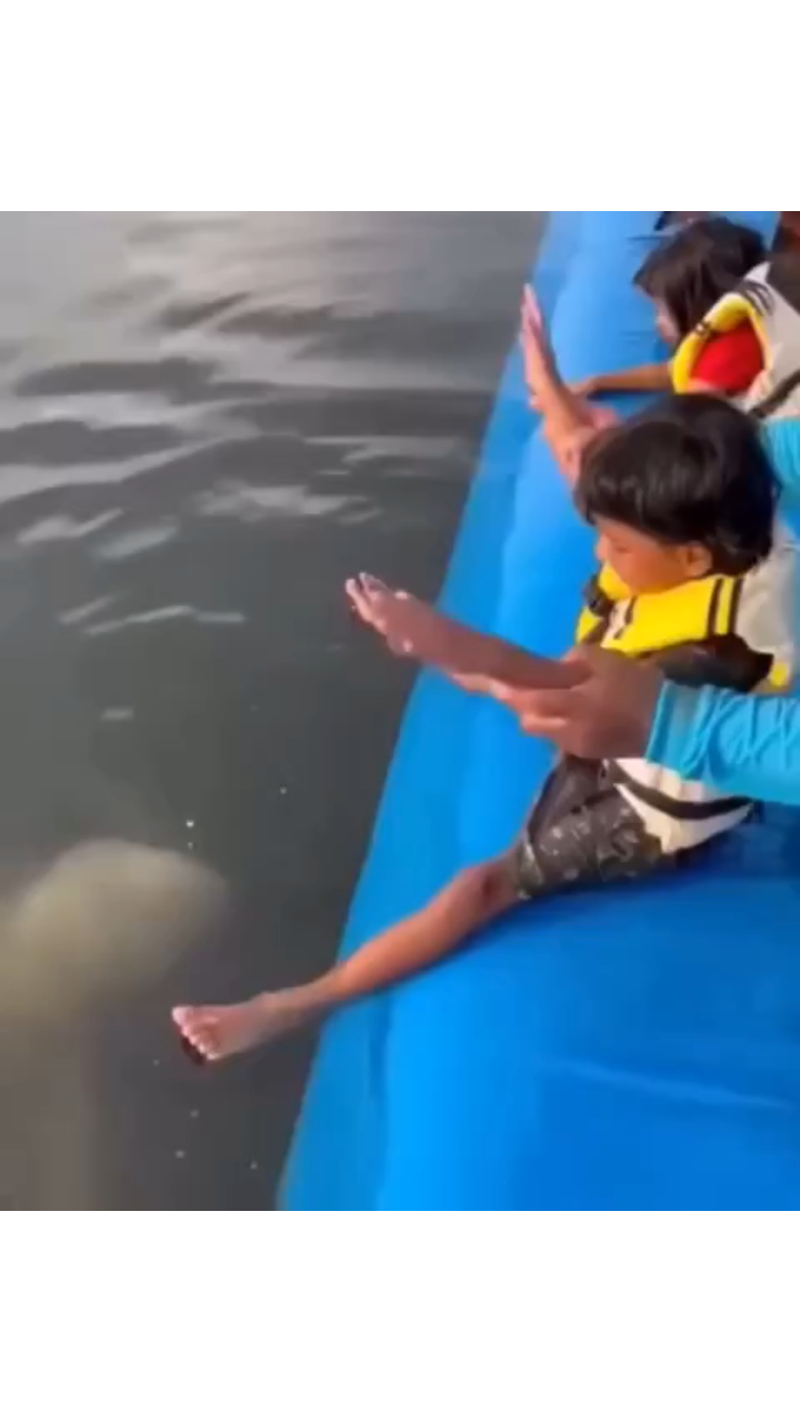 ☦️🦁⚔ 🆃🆁🅴🅱 ⚔🩸 on GETTR : Beluga Hug 🤗