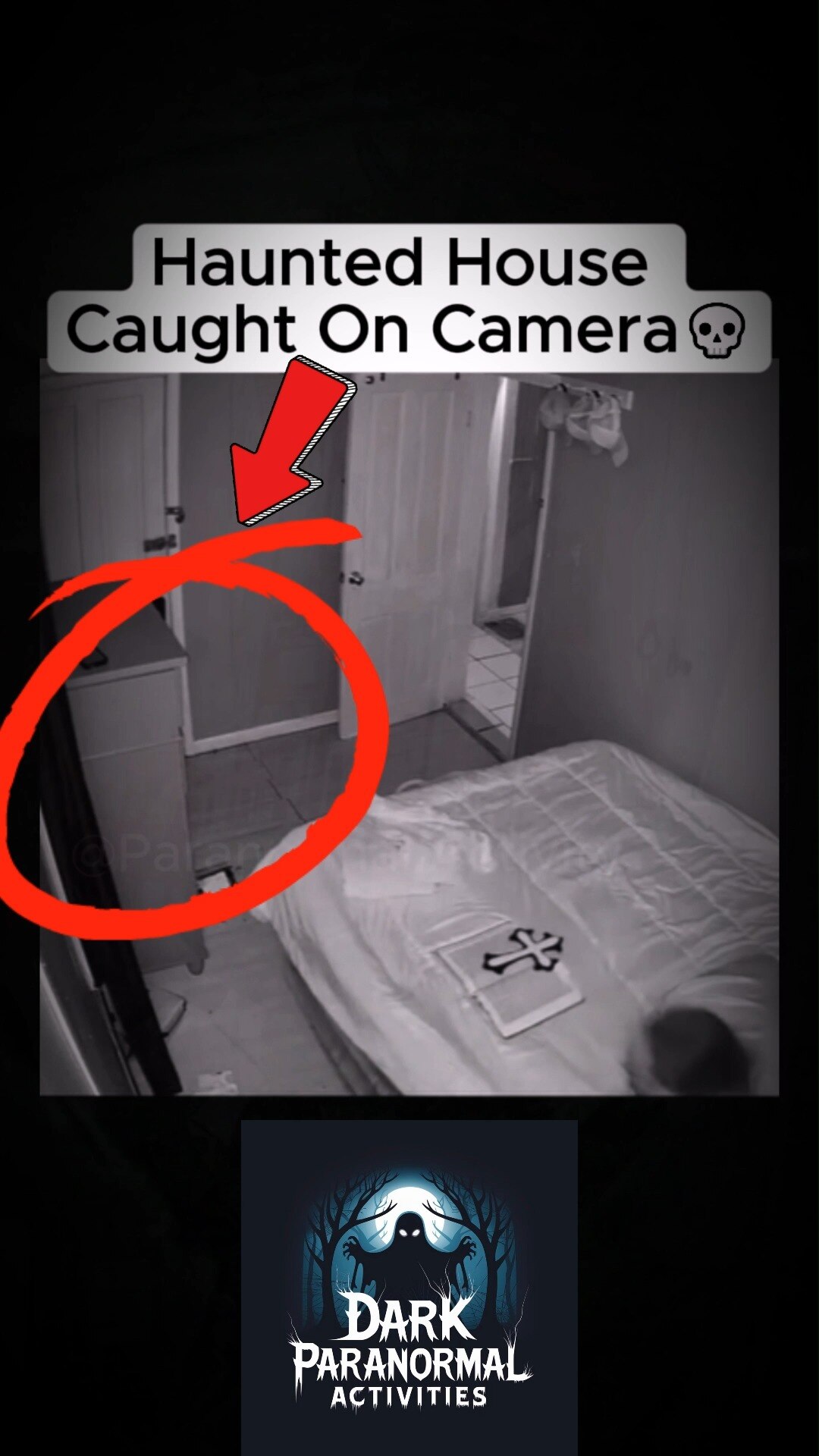 darkparanormalactivities on GETTR : The devil is not afraid of the ...