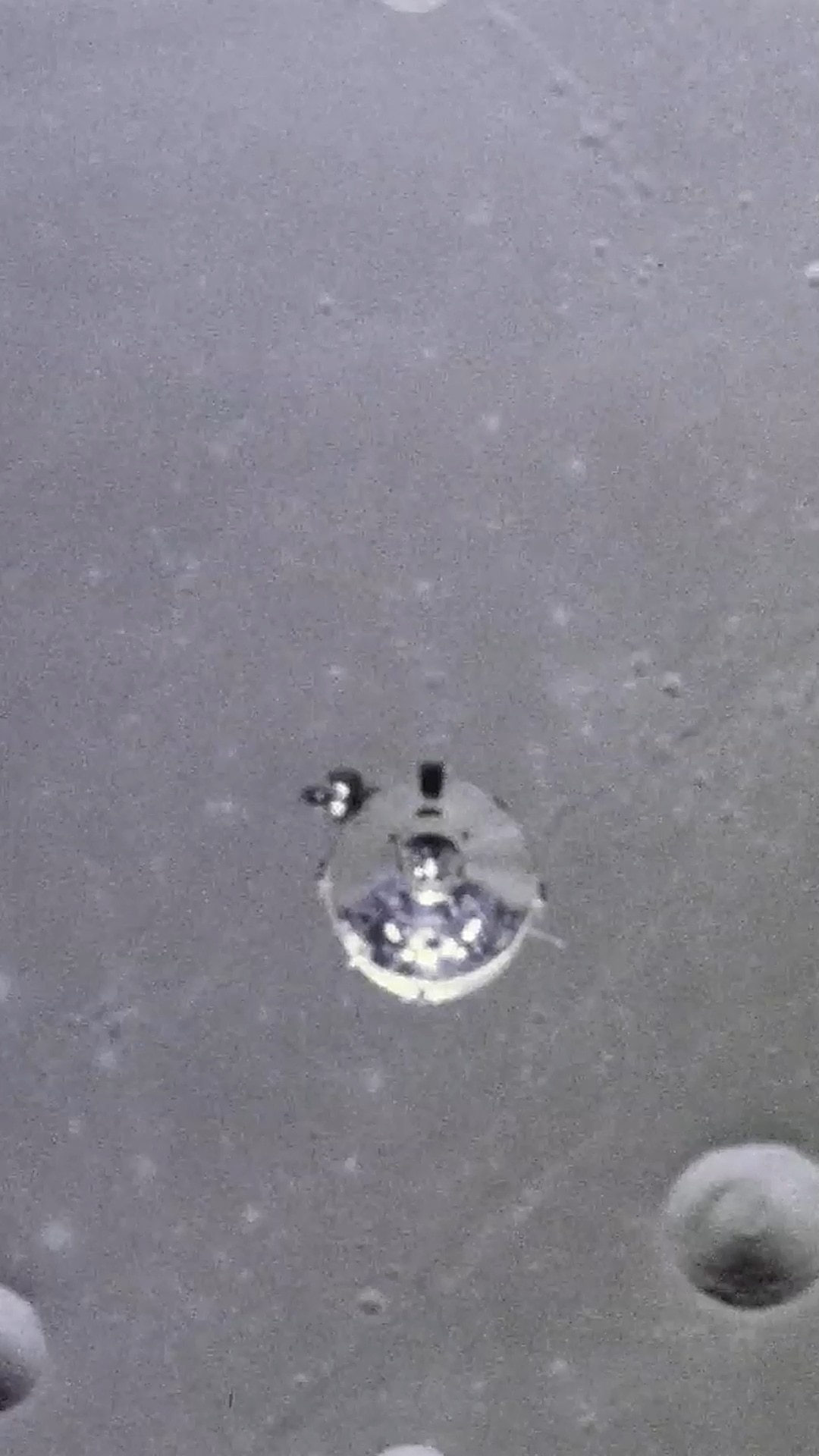 Som ET on GETTR : Apollo 11 (July 16–24, 1969) was the American ...