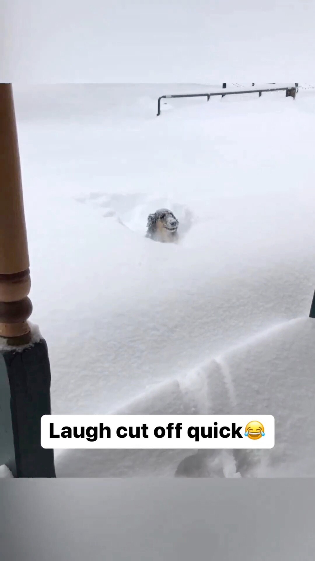 粤西 on GETTR: snow is beautiful