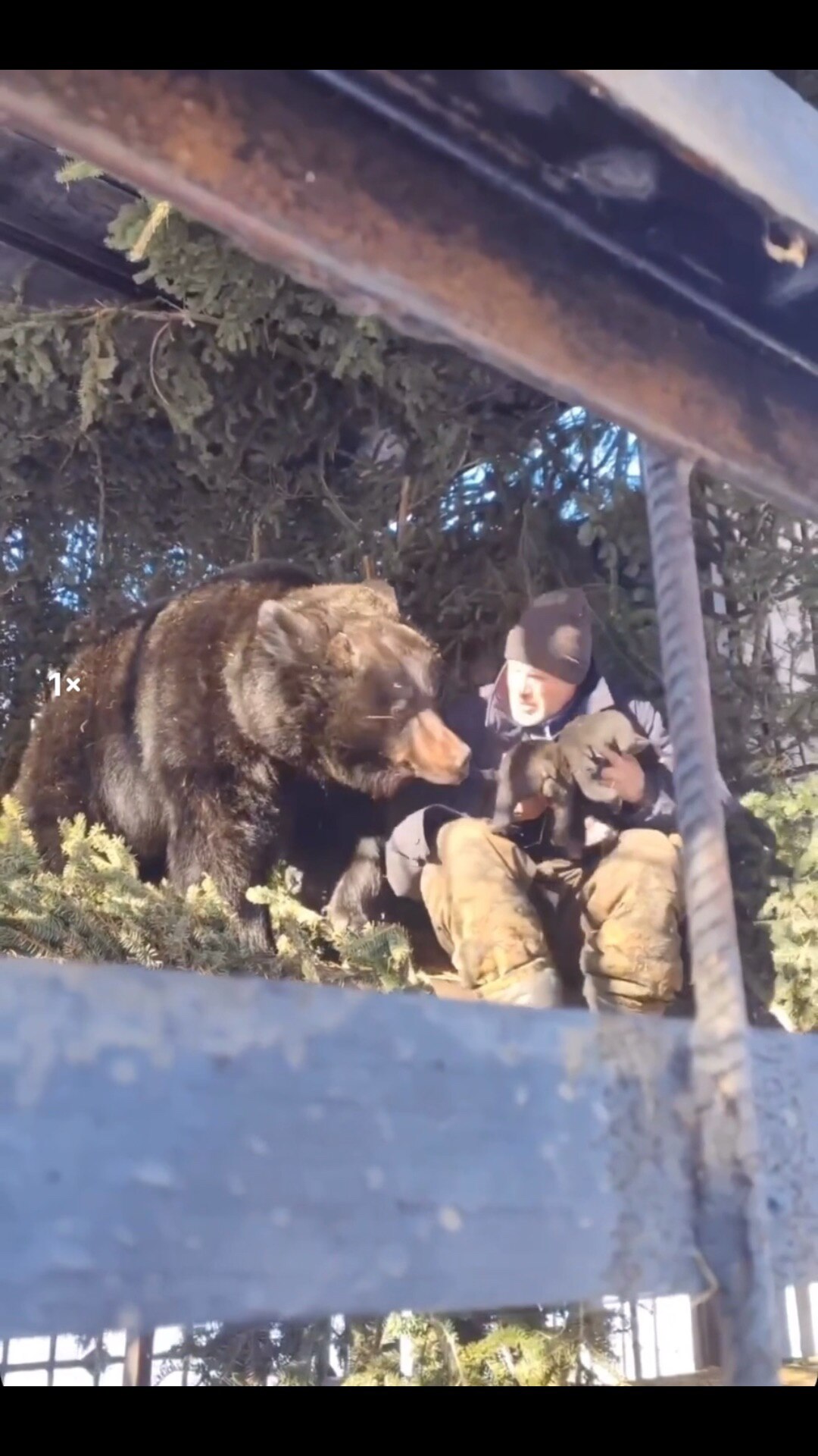 飘雪199 on GETTR : Oh My God! He dares to hug bear's baby!