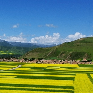 fuzhiqiang0407 on GETTR - Profile and Posts on GETTR