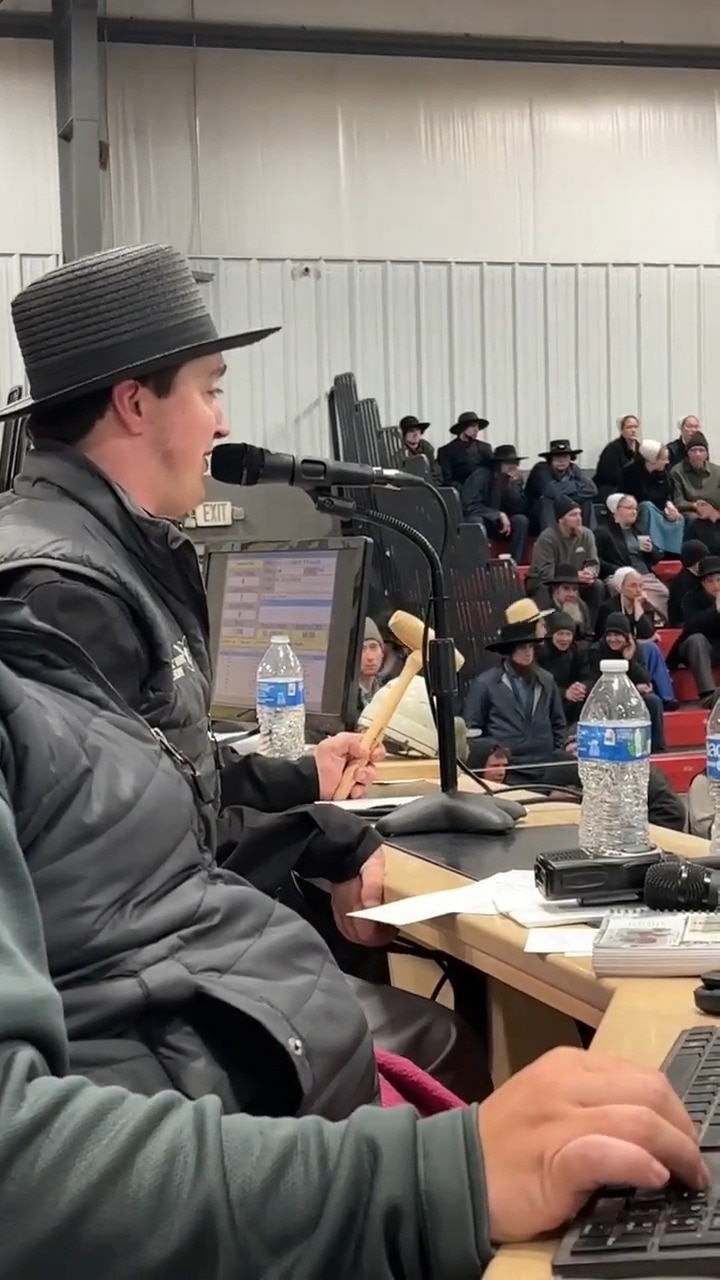 Nicholas (德农惩贼冲锋队) on GETTR: Auctioneer insane speed talking skills.